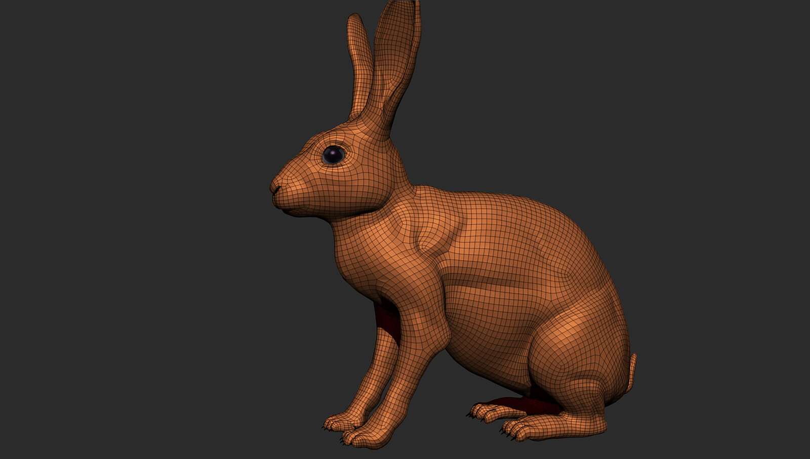 sai krishna godugu - Rabbit