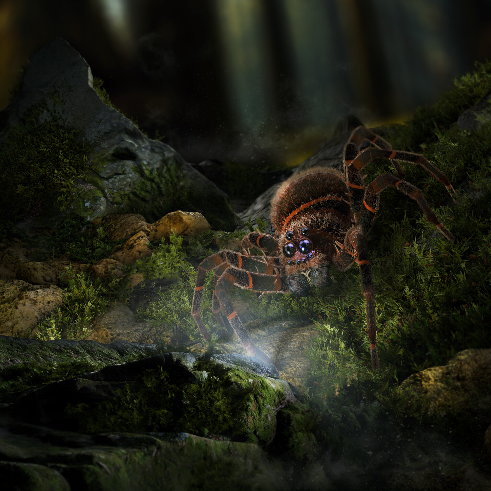 ArtStation - Macro SpiDer
