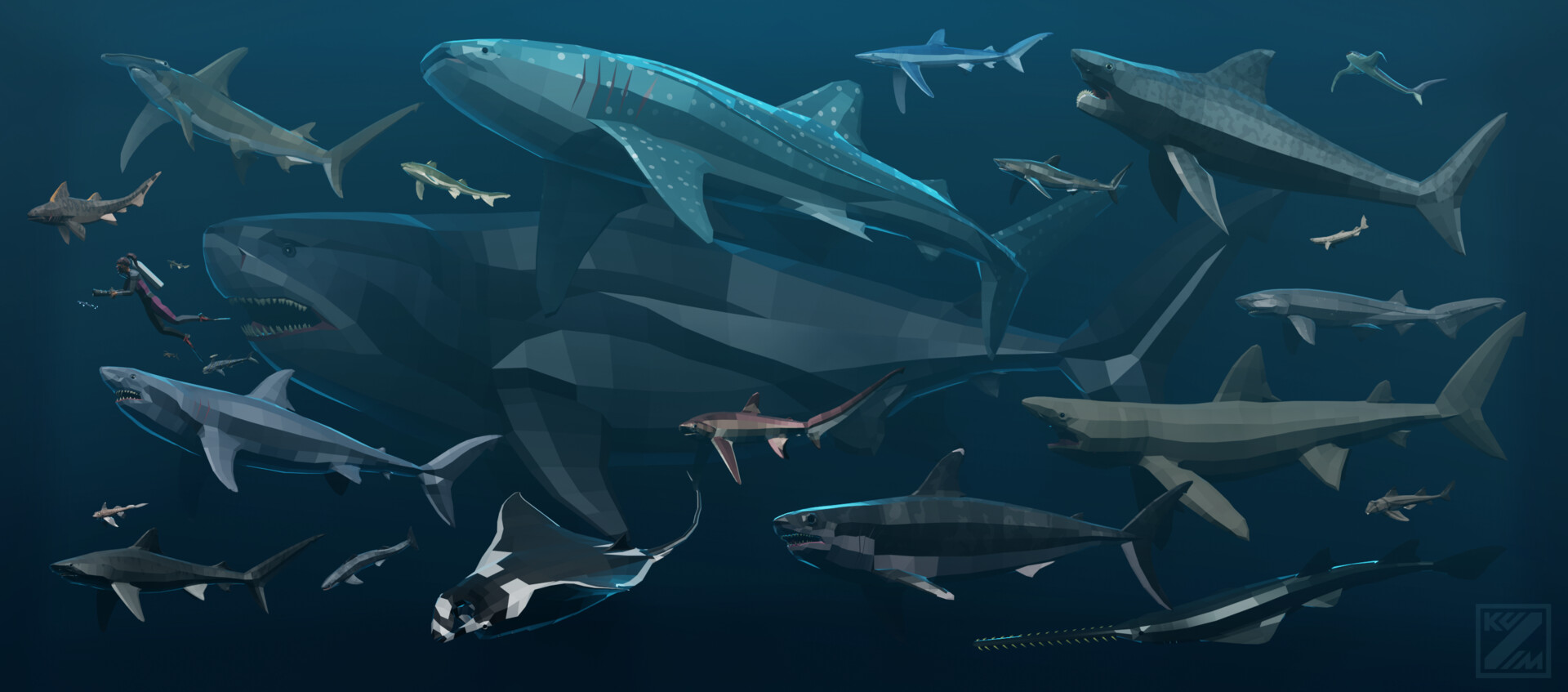 Shark Week 2022 Wallpaper