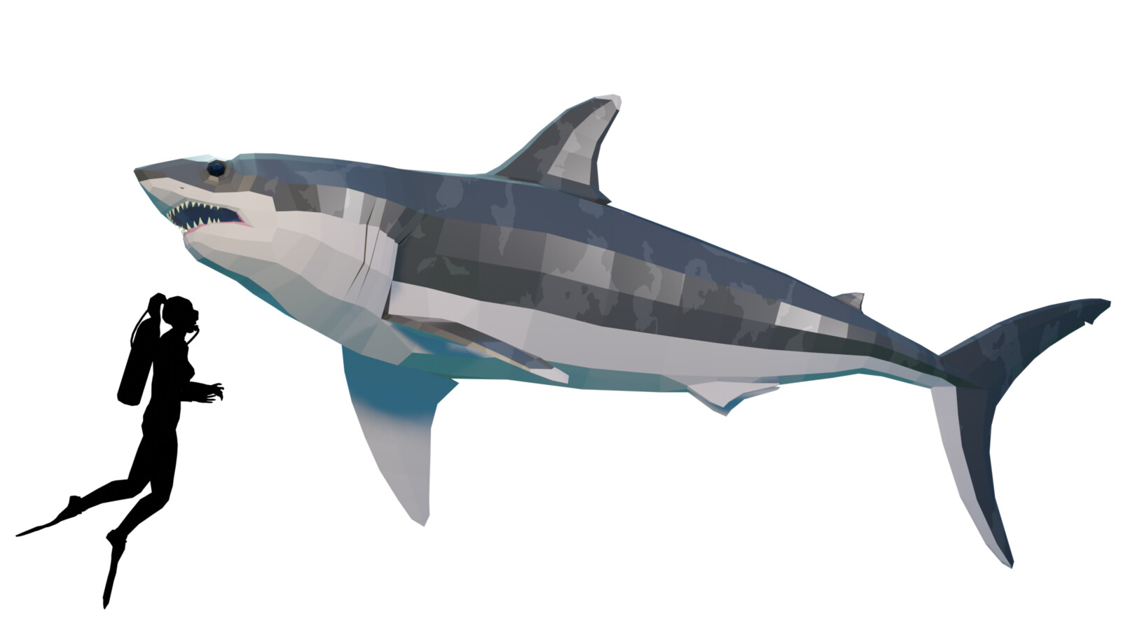 Adam Midzuk - Shark poster