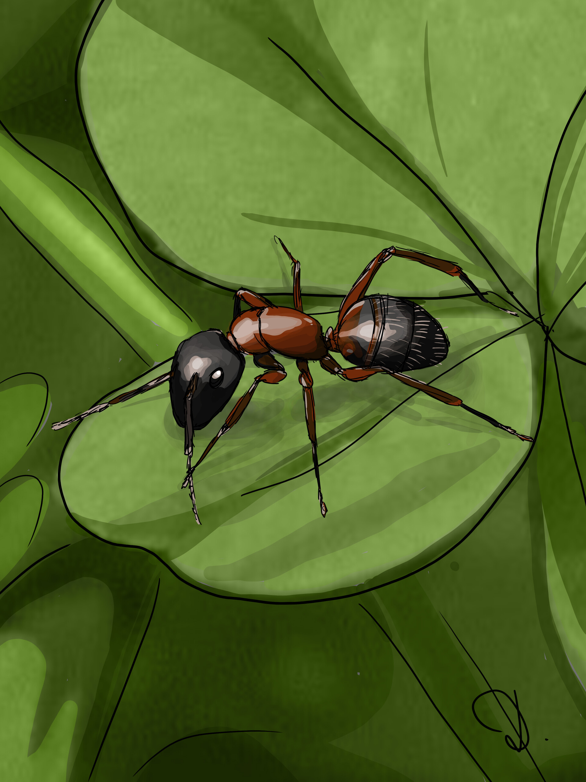 ArtStation - Ant - quick drawing