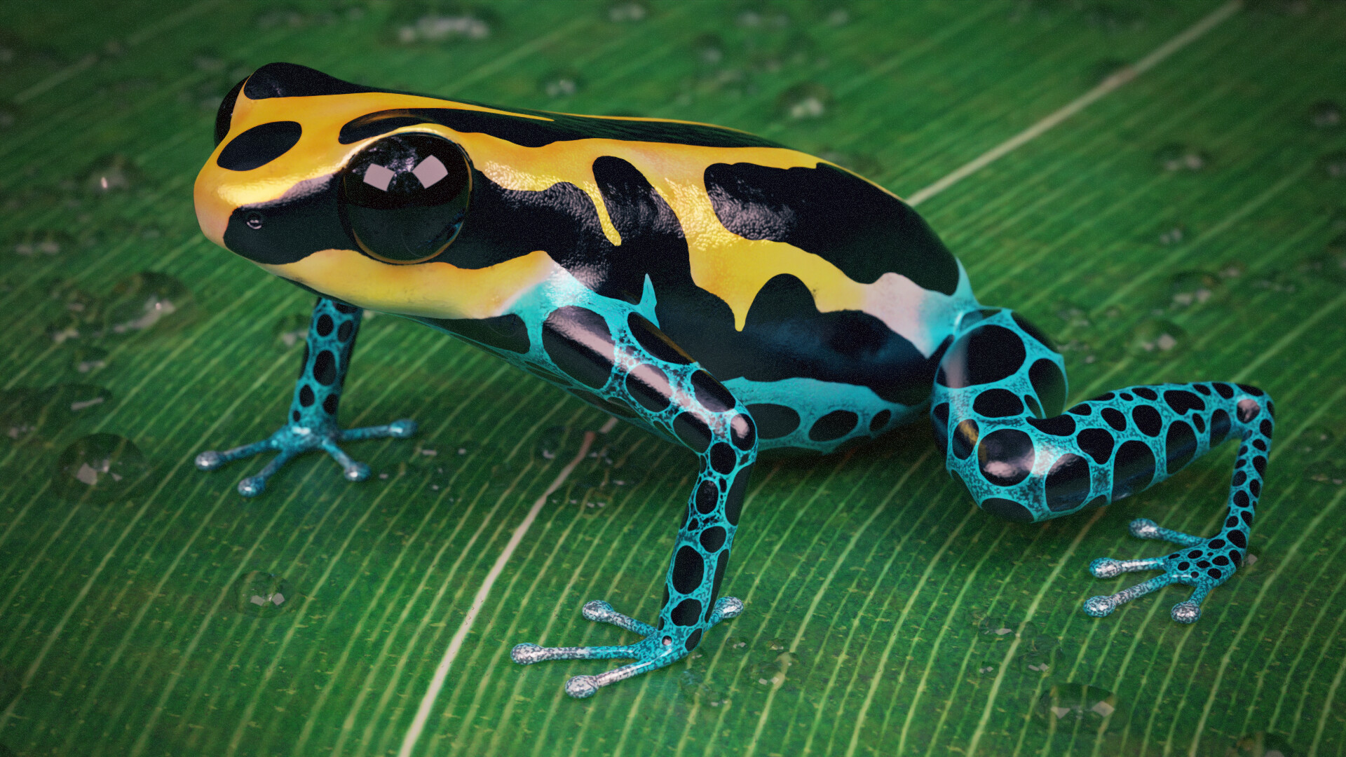 ArtStation - Dart Frog