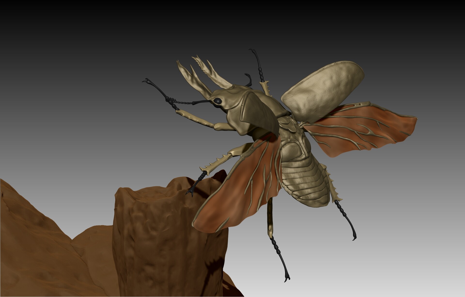 KAZUKI MATOBA - Allotopus Rosenbergi