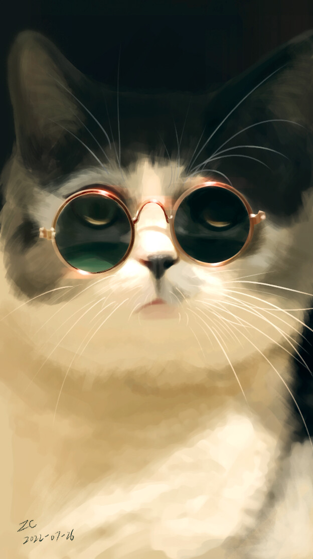 ArtStation - Digital Paint Practice My Cat Big Blue