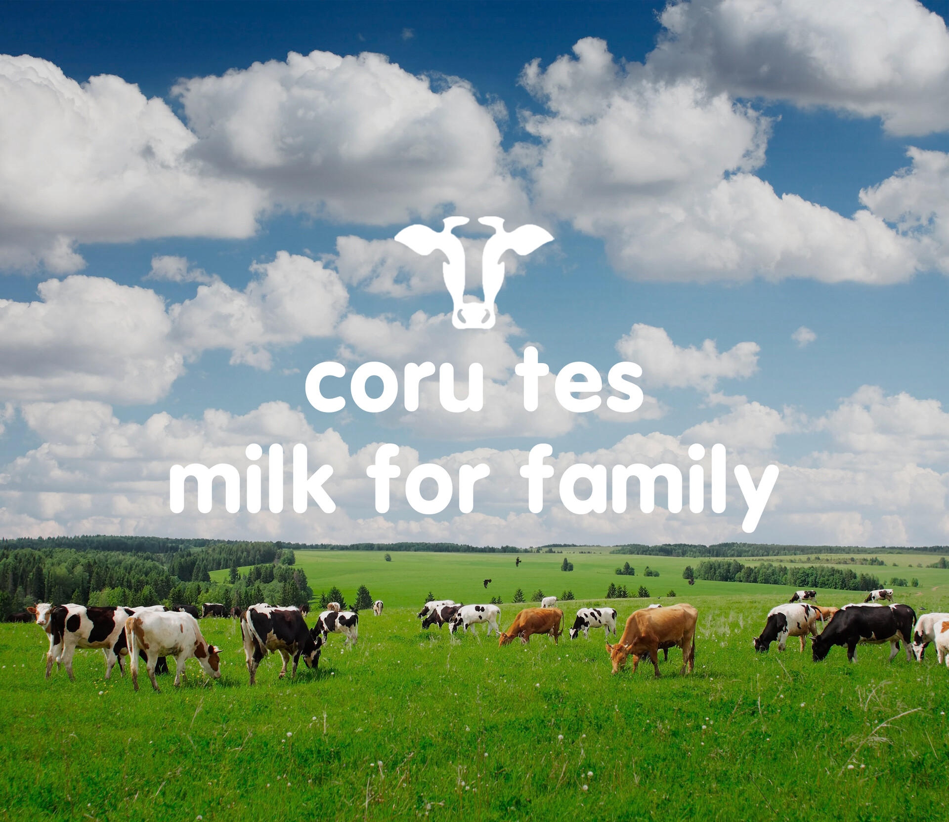 ArtStation - Coru Tes Milk