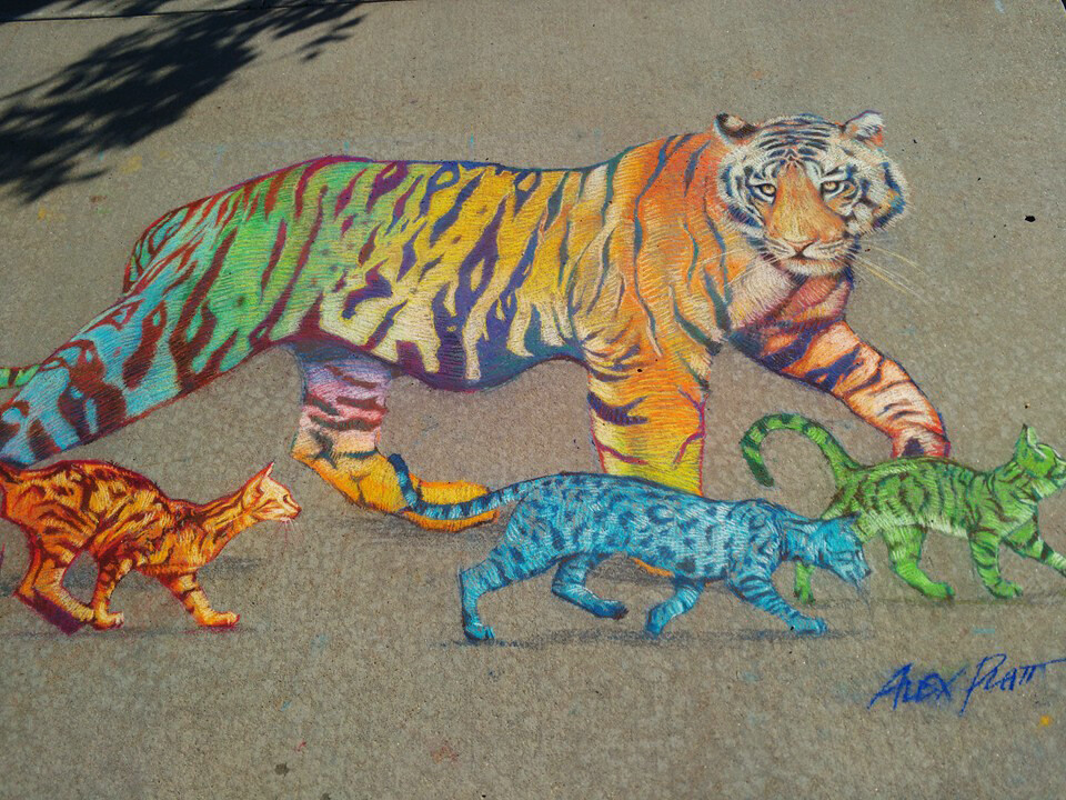 ArtStation - Tiger Cats Chalk Art