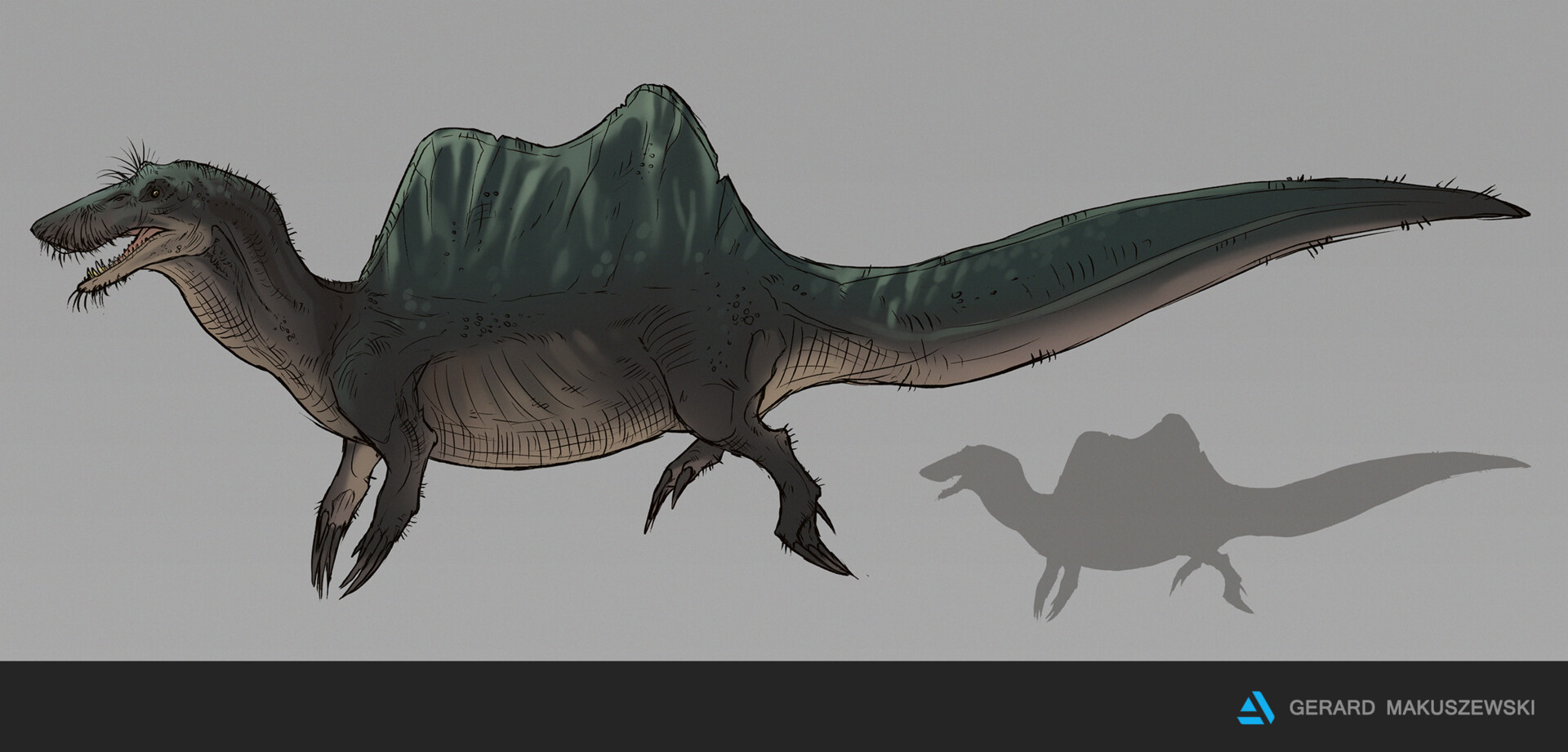 Gerard Makuszewski - Spinosaurus Speculative Reconstruction
