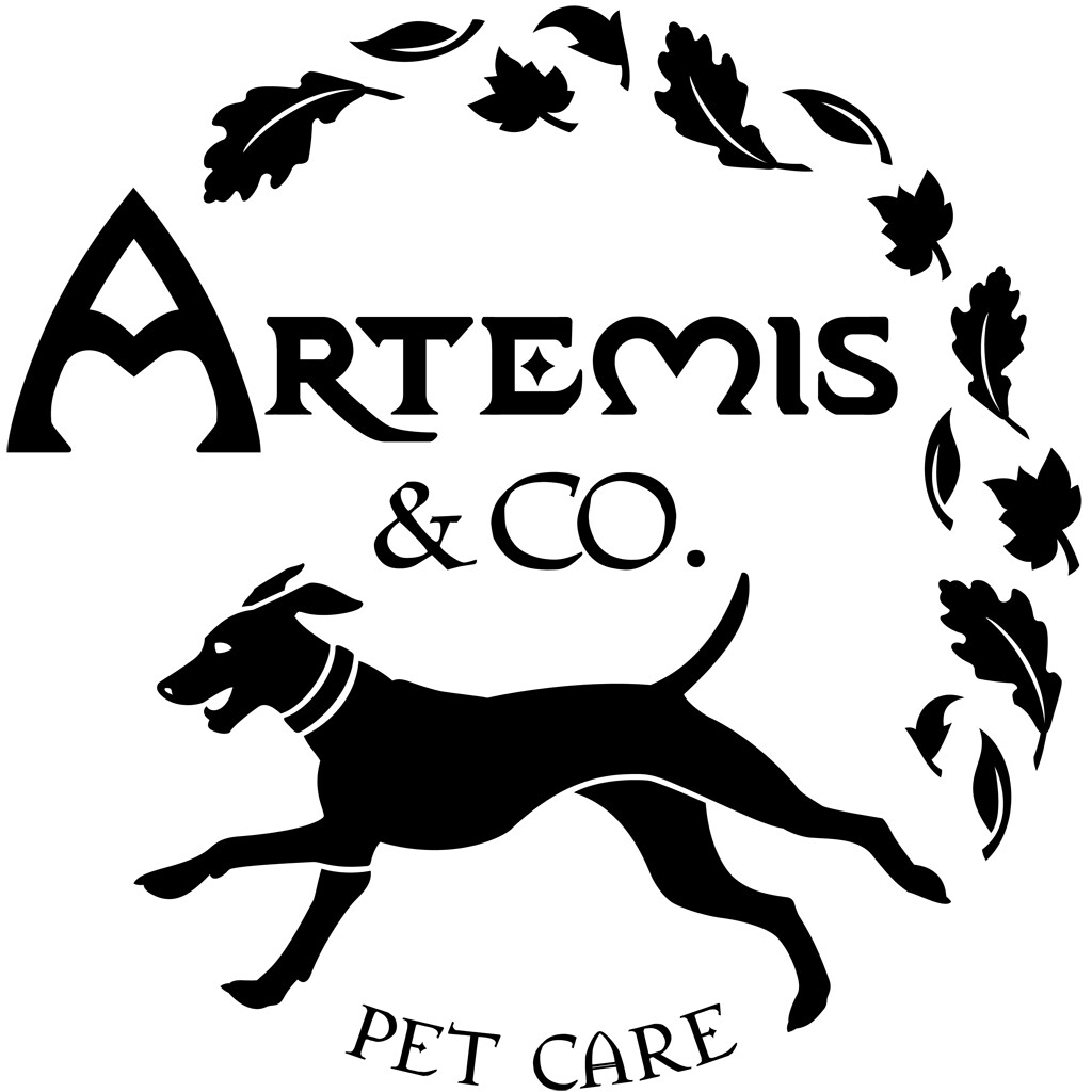 artemis logo design