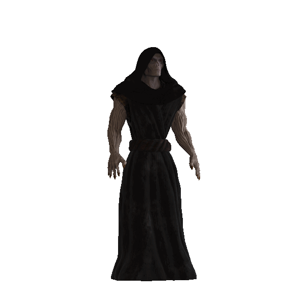 William Jacob - Wizards Of Nature (Rig and Animation - Necromancer)