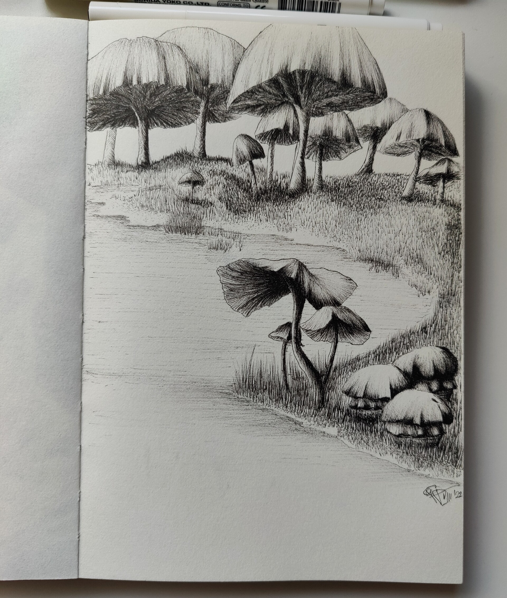 ArtStation - Mushroom land