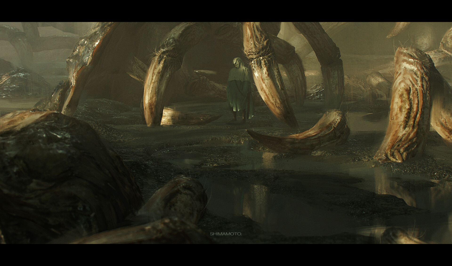 Shimamoto . - Shells / 01