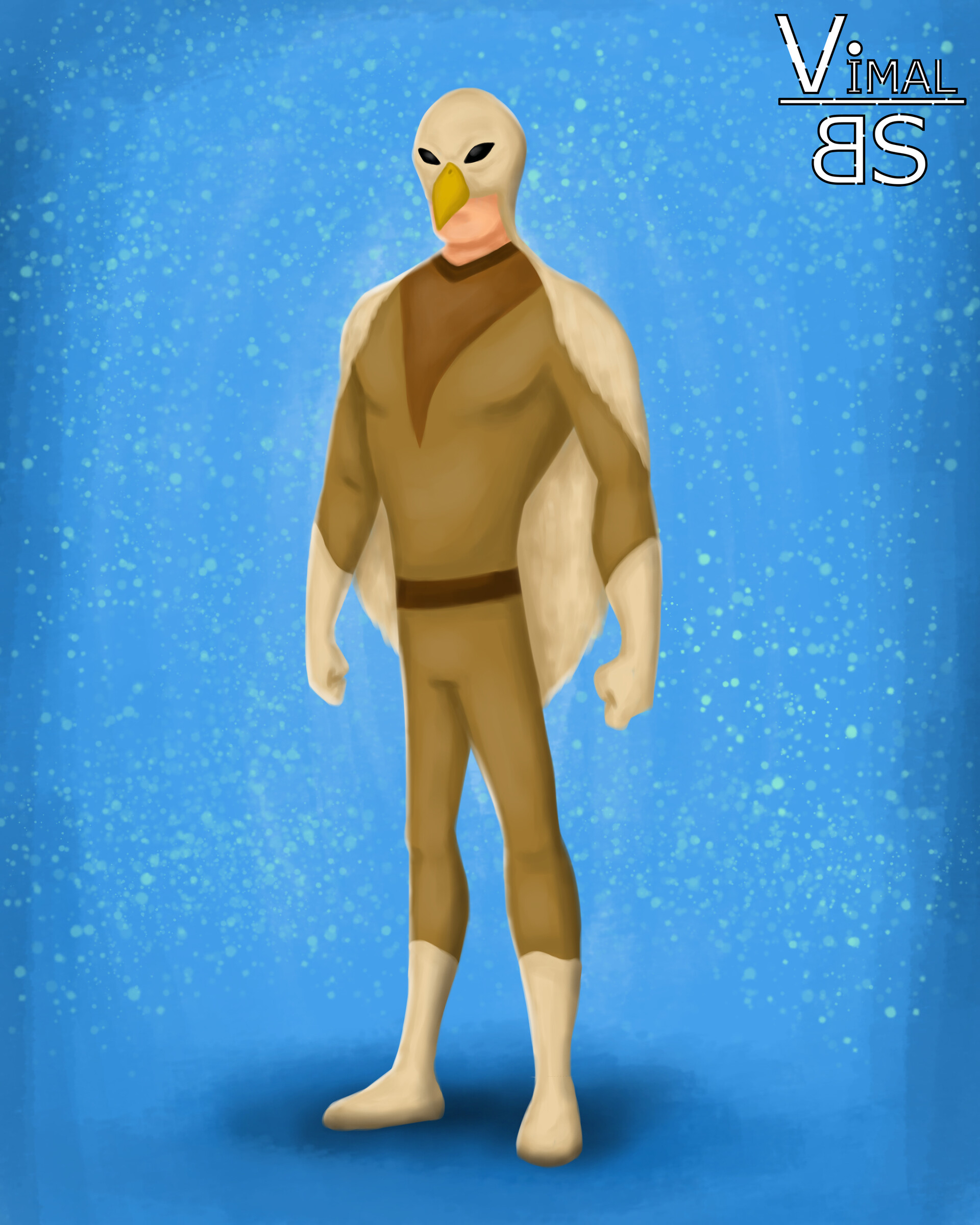 Birdman Superhero Symbol