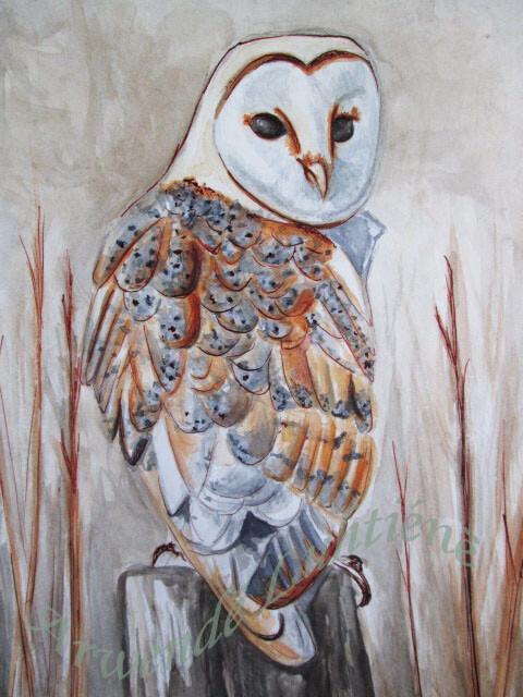 ArtStation - Barn owl