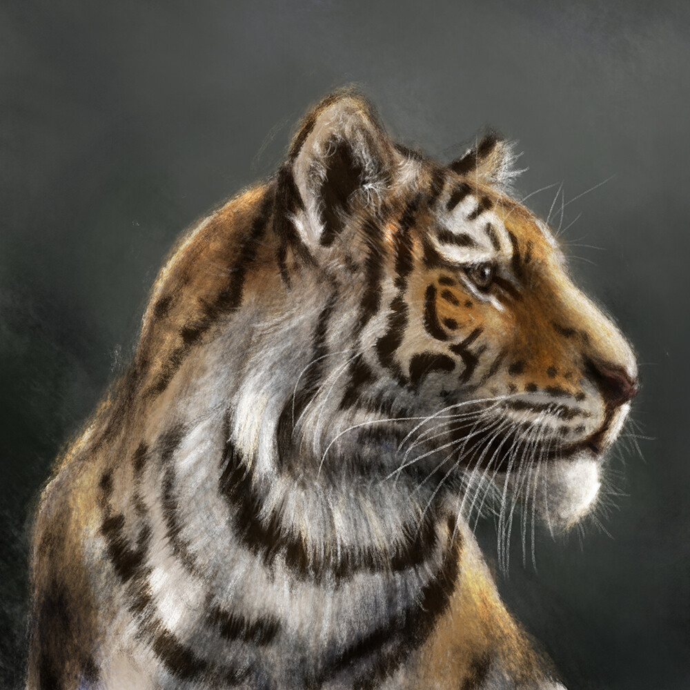 ArtStation - The Tiger