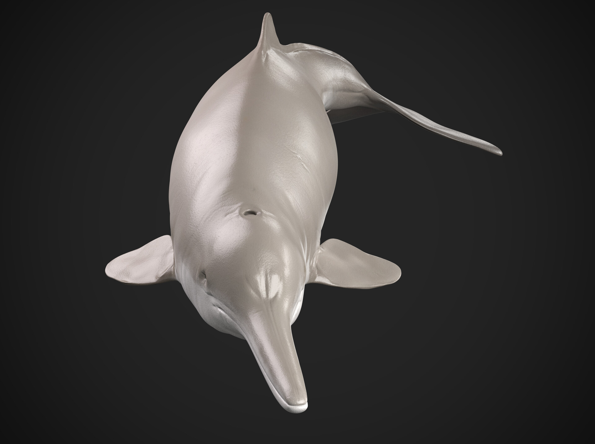 ArtStation - 白鱀豚（Lipotes vexillifer）