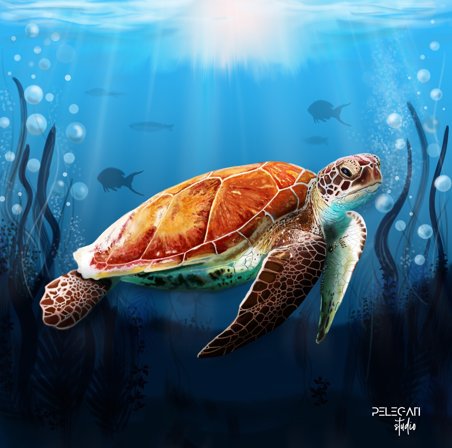 ArtStation - Sea Turtle