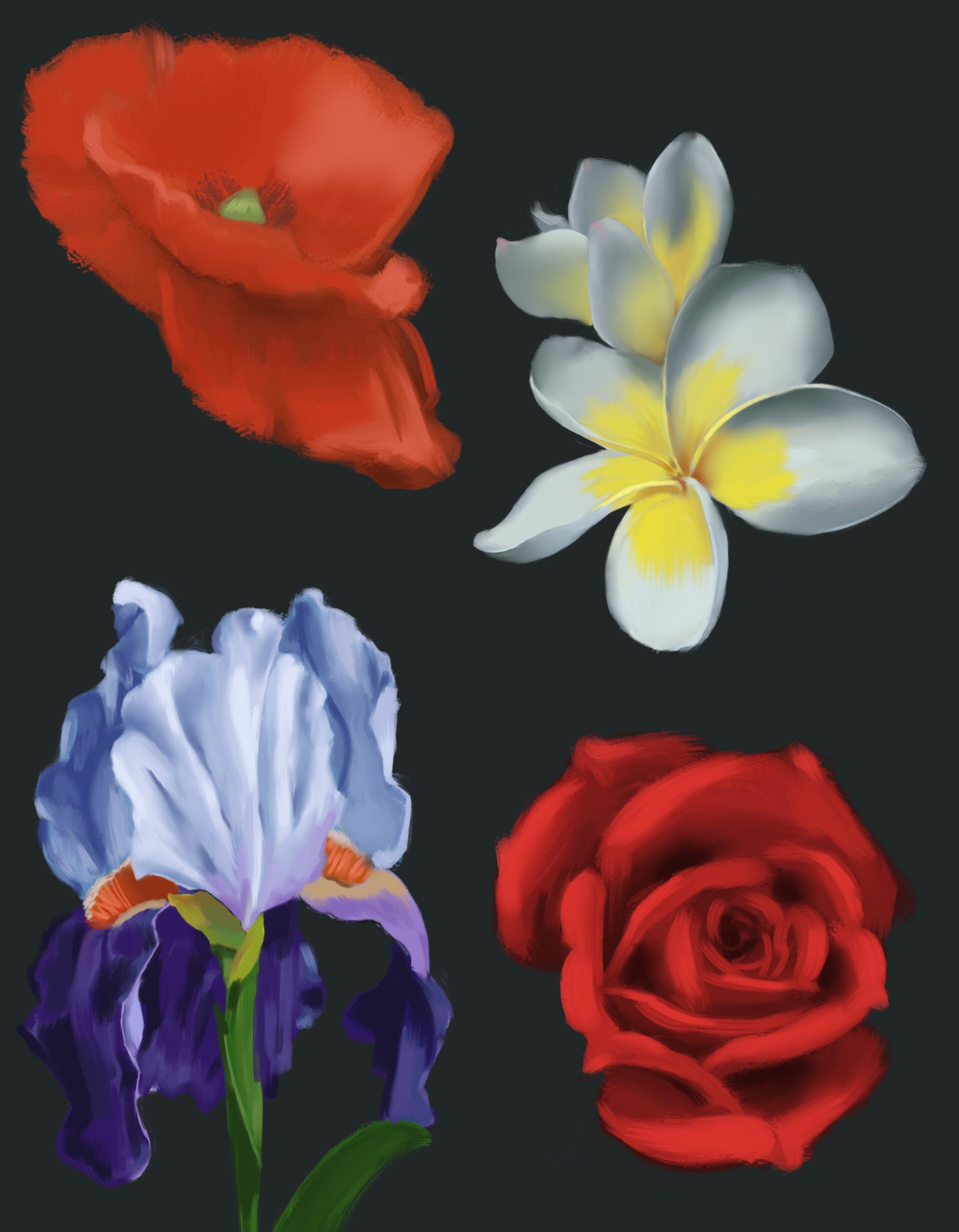 ArtStation - Flower studies