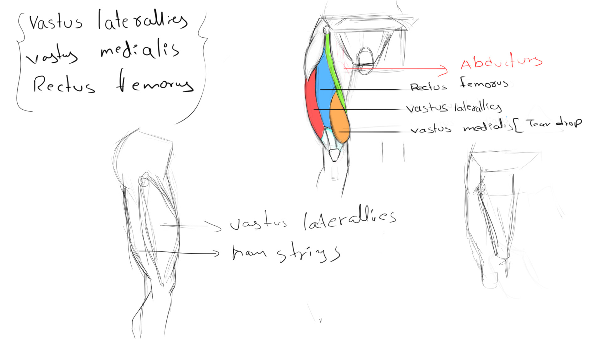 ArtStation - leg anatomy studies from proko and TB CHOI