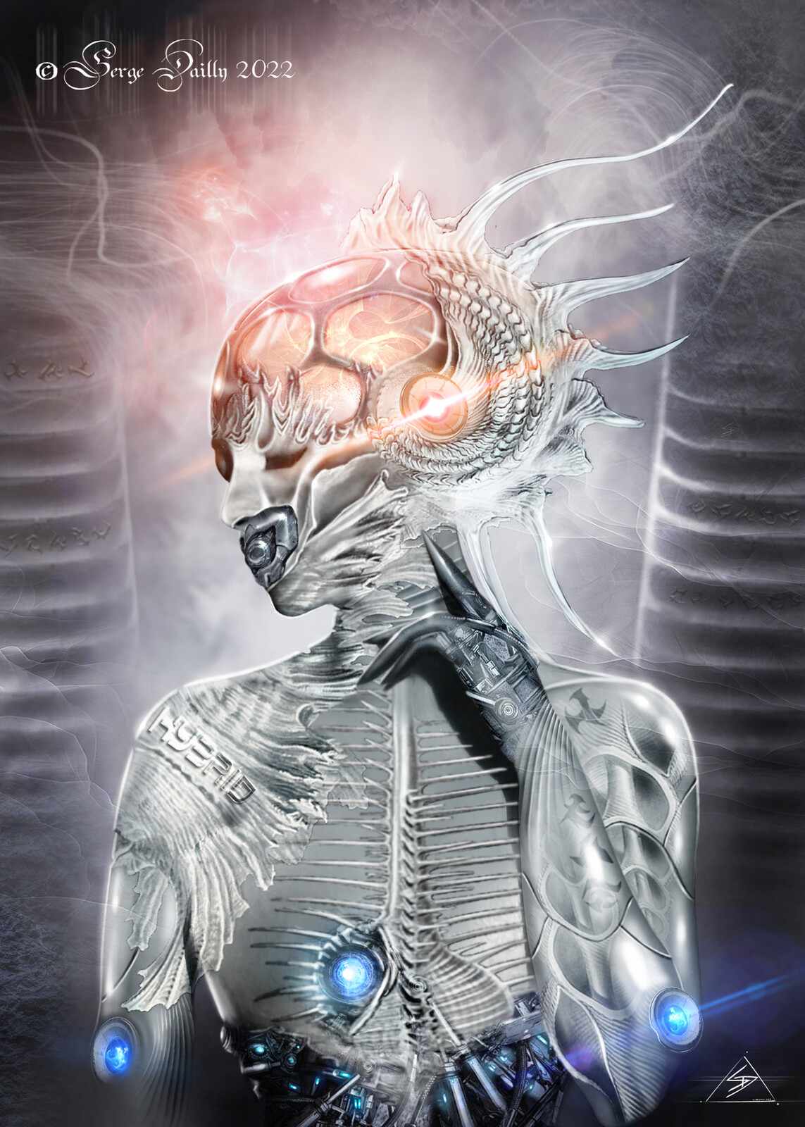 Serge dailly - ( HYBRID ) Cyber art