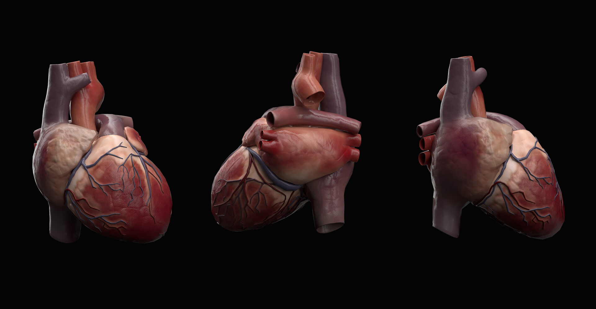 ArtStation - Heart