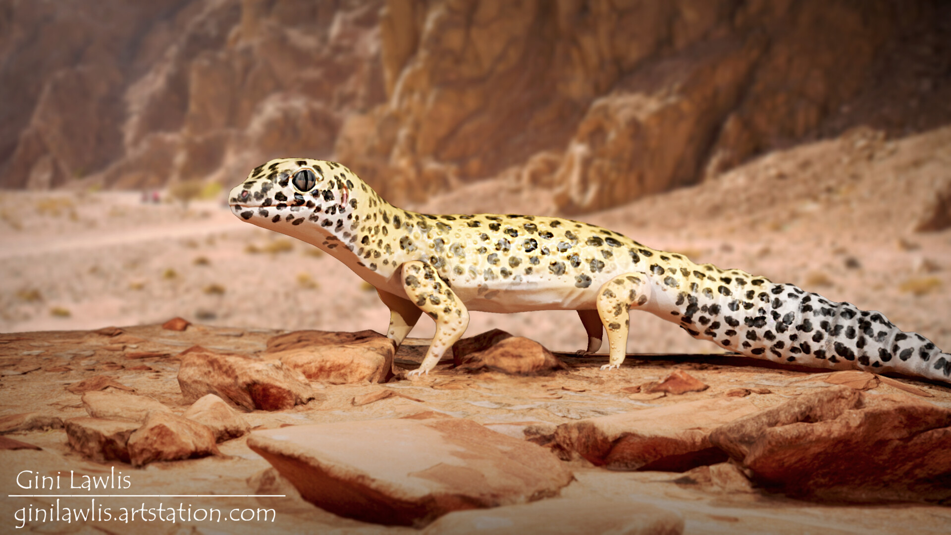 smallest pet lizards