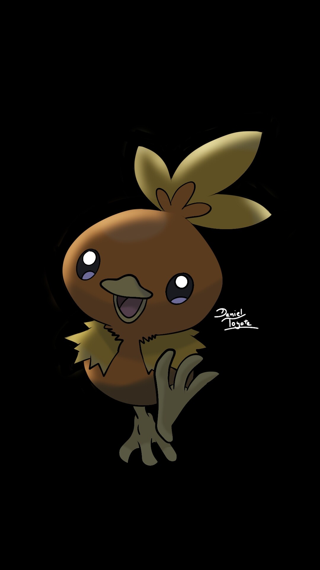 Torchic Project Pokemon at Aiden Ligar blog