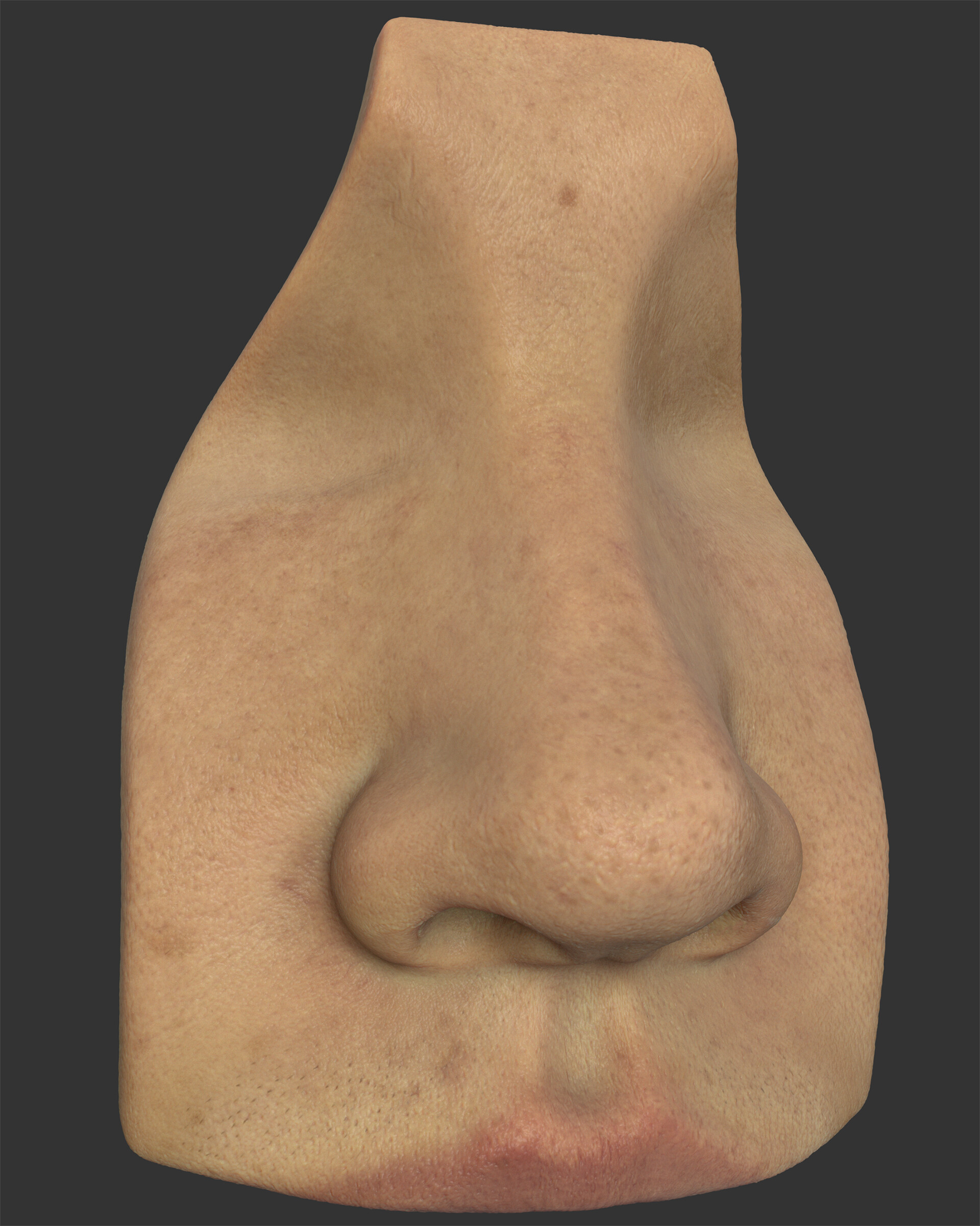 ArtStation - Nose Practice