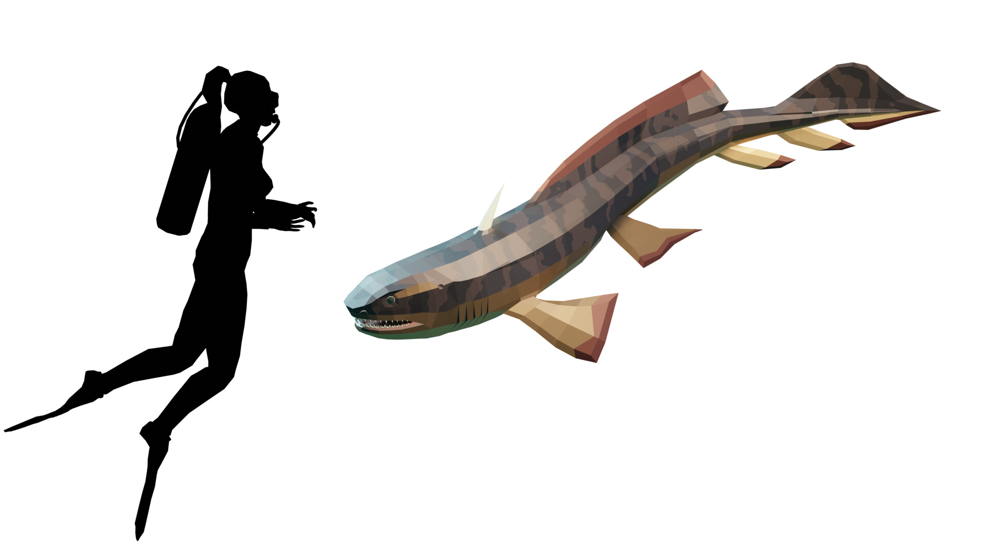 Adam Midzuk - Shark poster