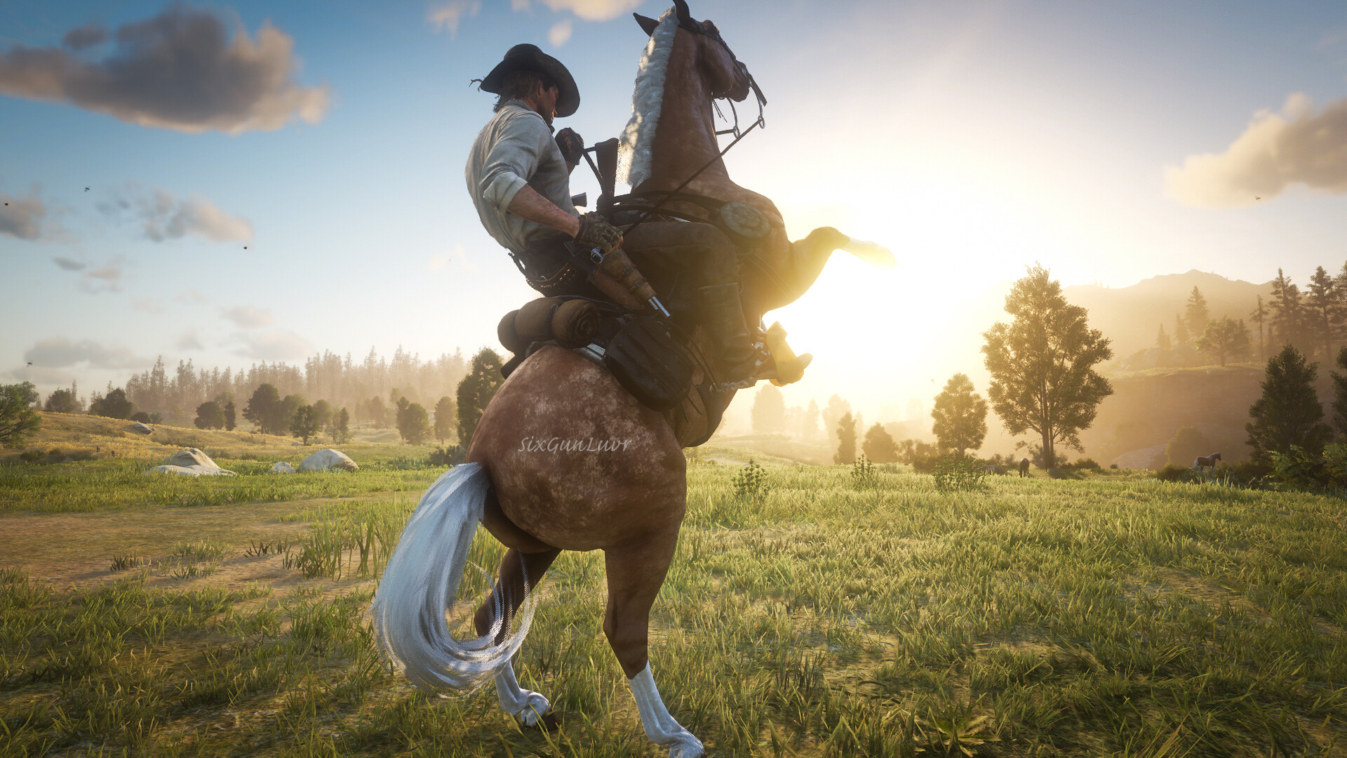 Where Is The American Standardbred In Rdr2