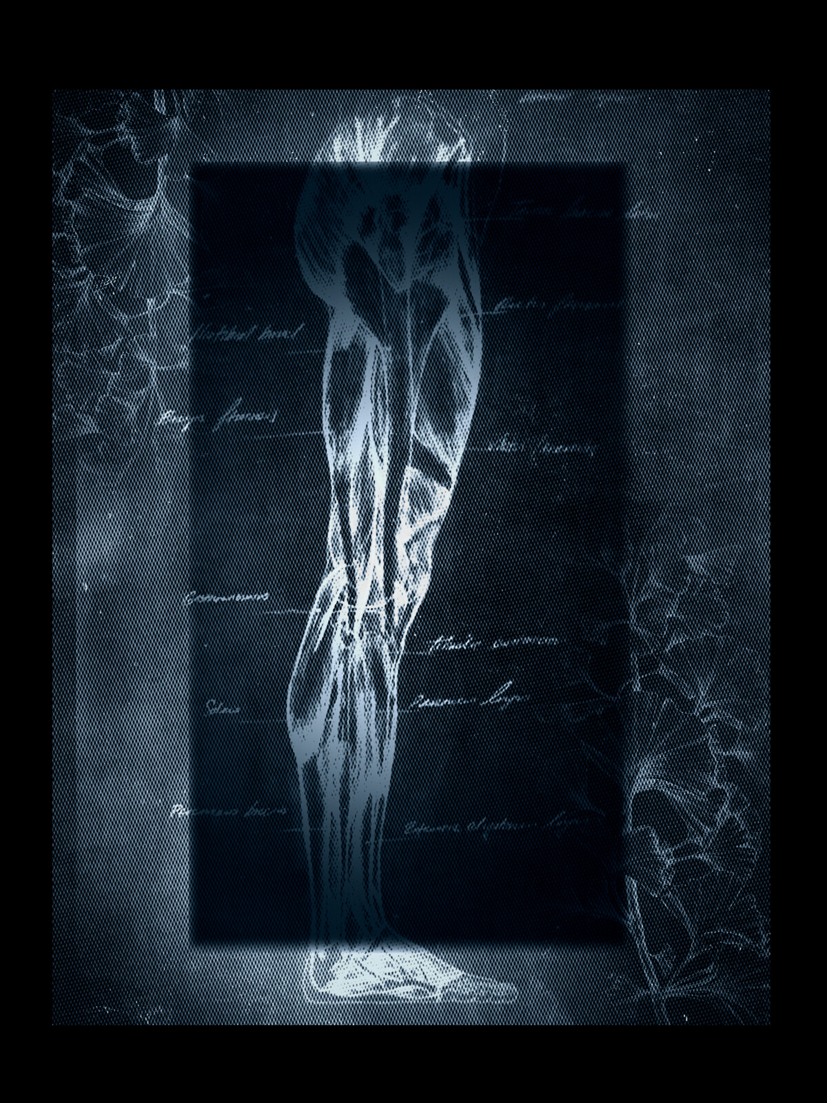 David Neil Andrews - Traditional Medium Work