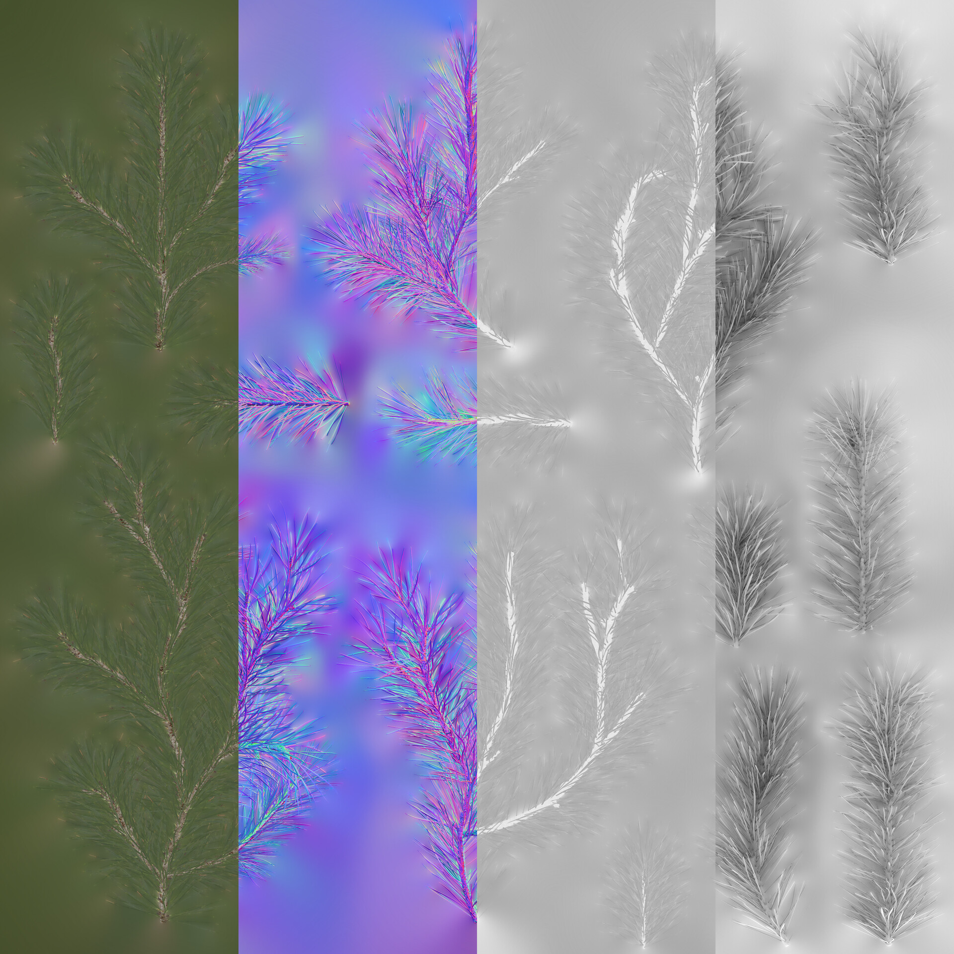 Joshua Kiddie - Fir Tree Forest