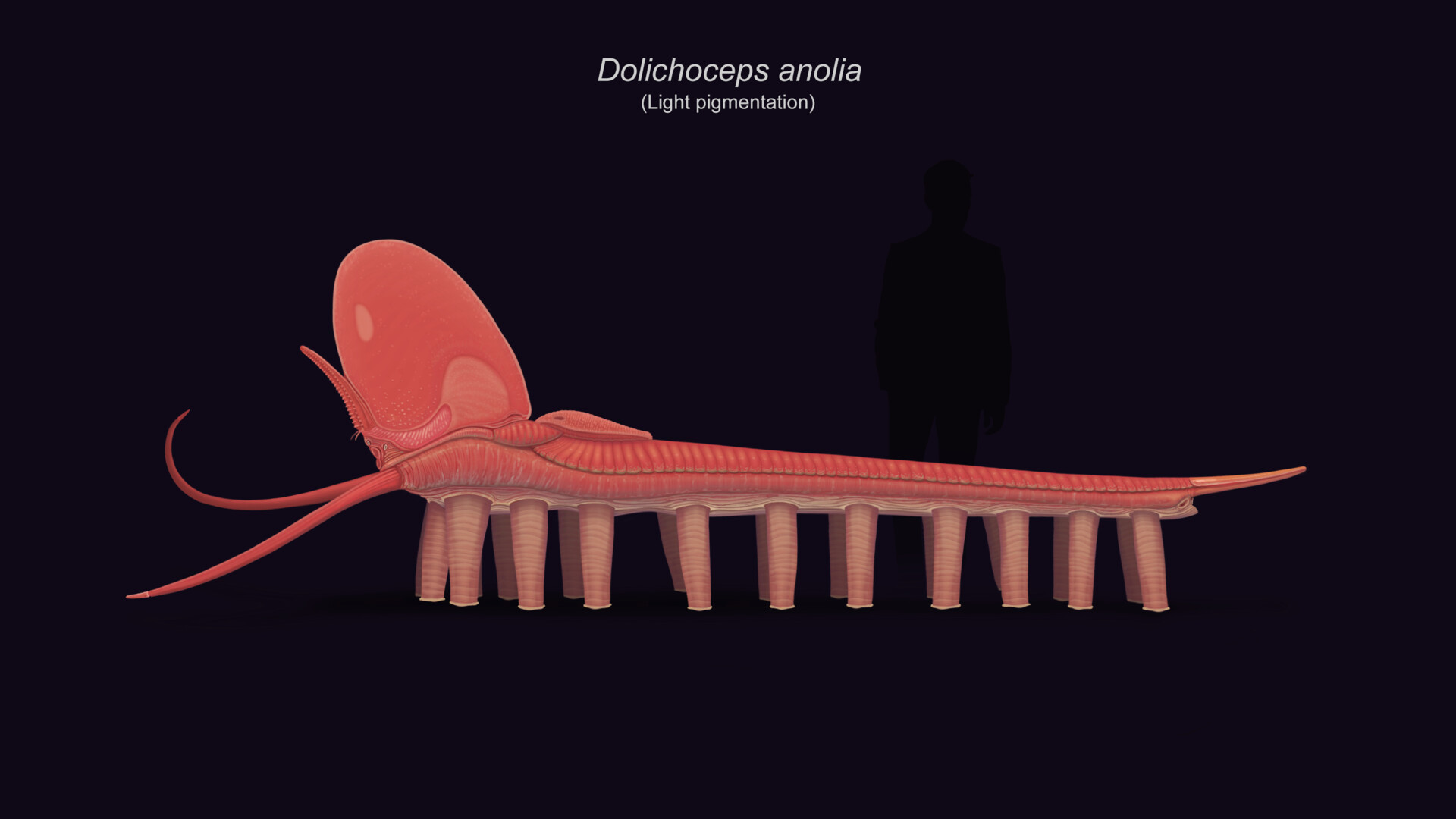 ArtStation - Alien Megafauna Concept