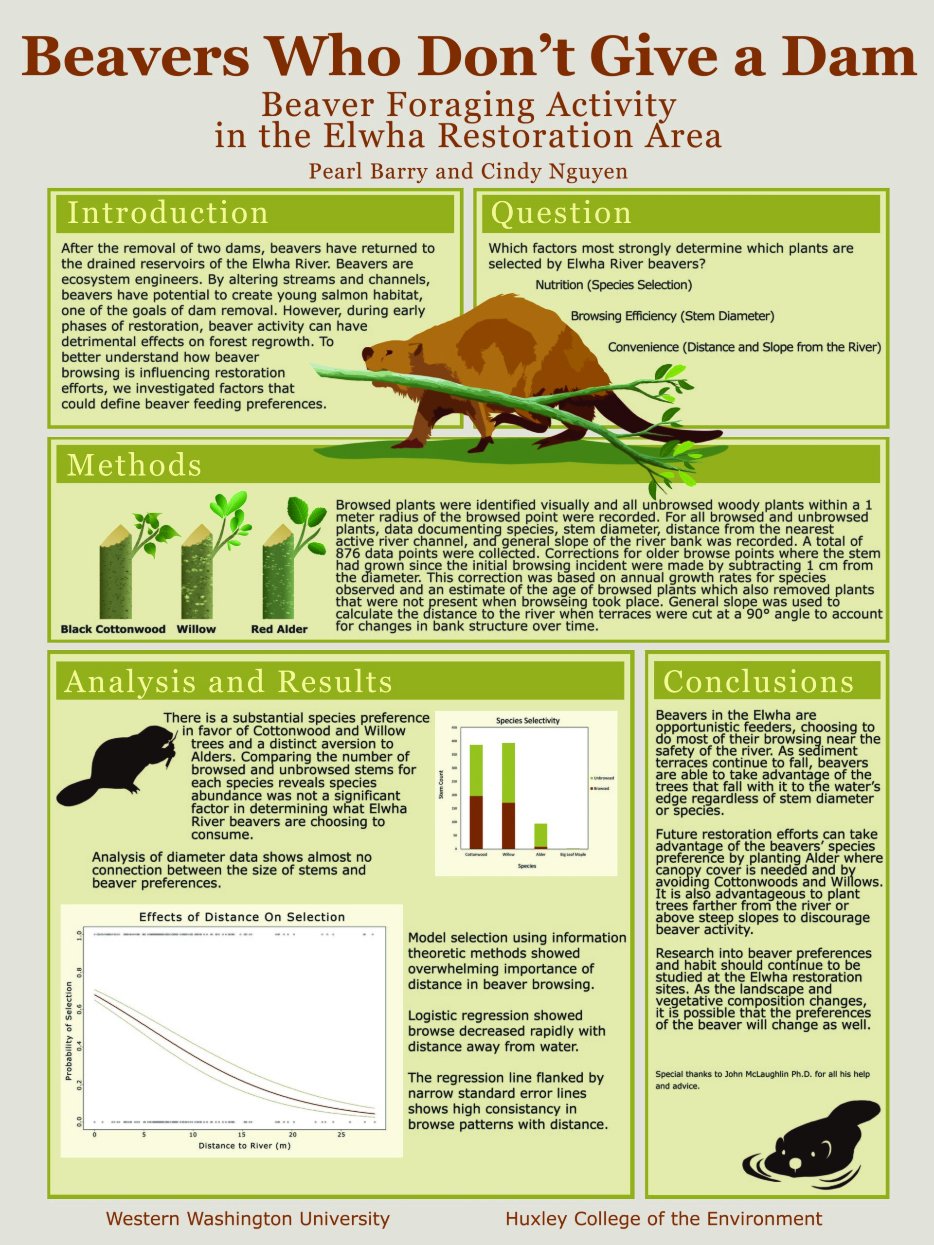 ArtStation - Beavers Who Don't Give a Damn - Scientific Poster