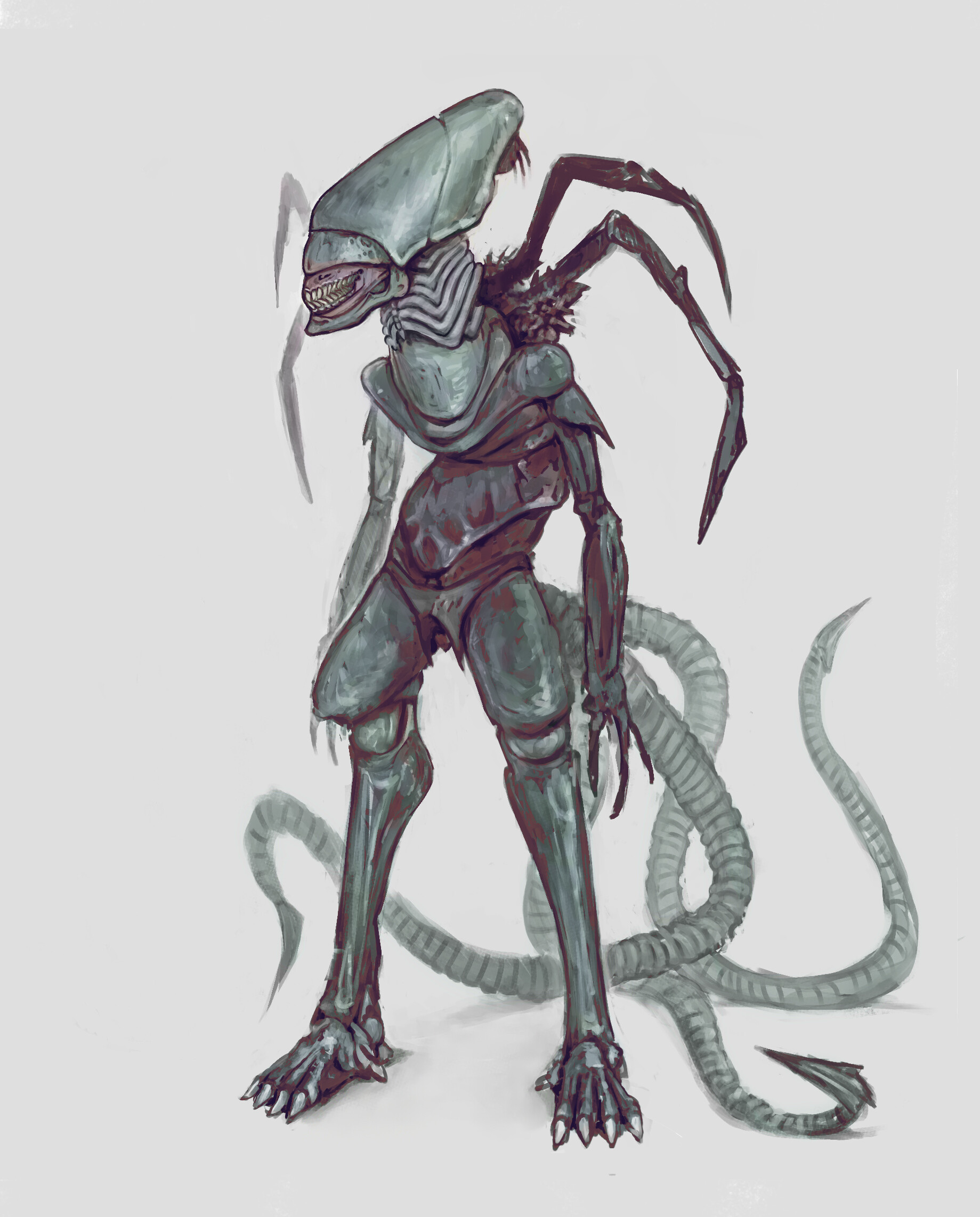 ArtStation - Arachno alien