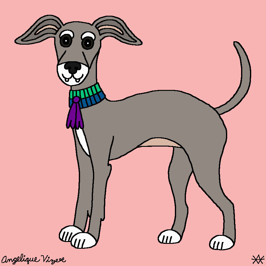 ArtStation - Italian Greyhound