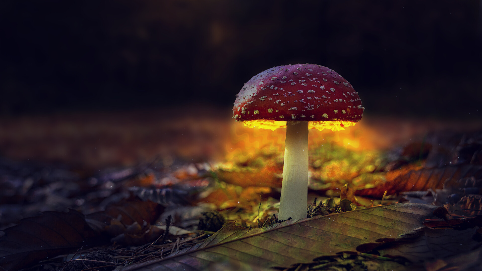ArtStation - Magic Mushroom