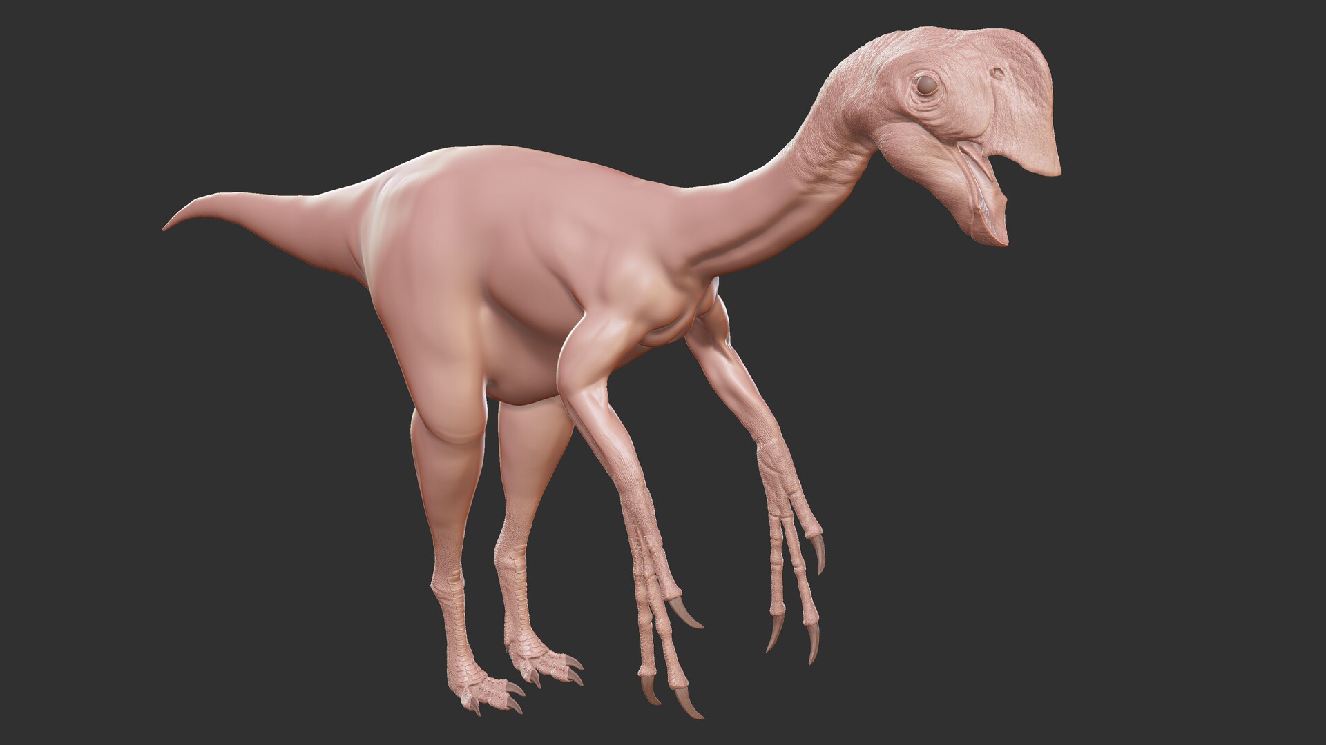 Nicole Birk - Oviraptor 3D Model