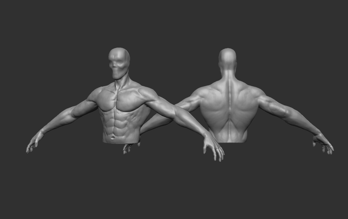 Ahmad Syafiq - Upper Torso Anatomy Study