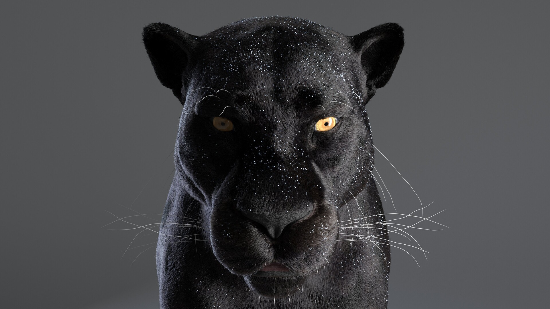 ArtStation - Black Panther