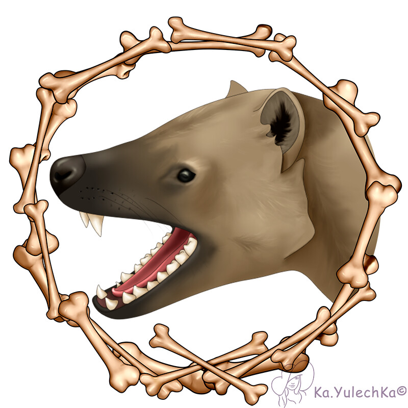 ArtStation - Hyaenodon