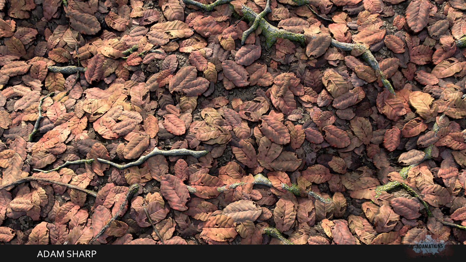 Adam sharp - Fallen Leaves