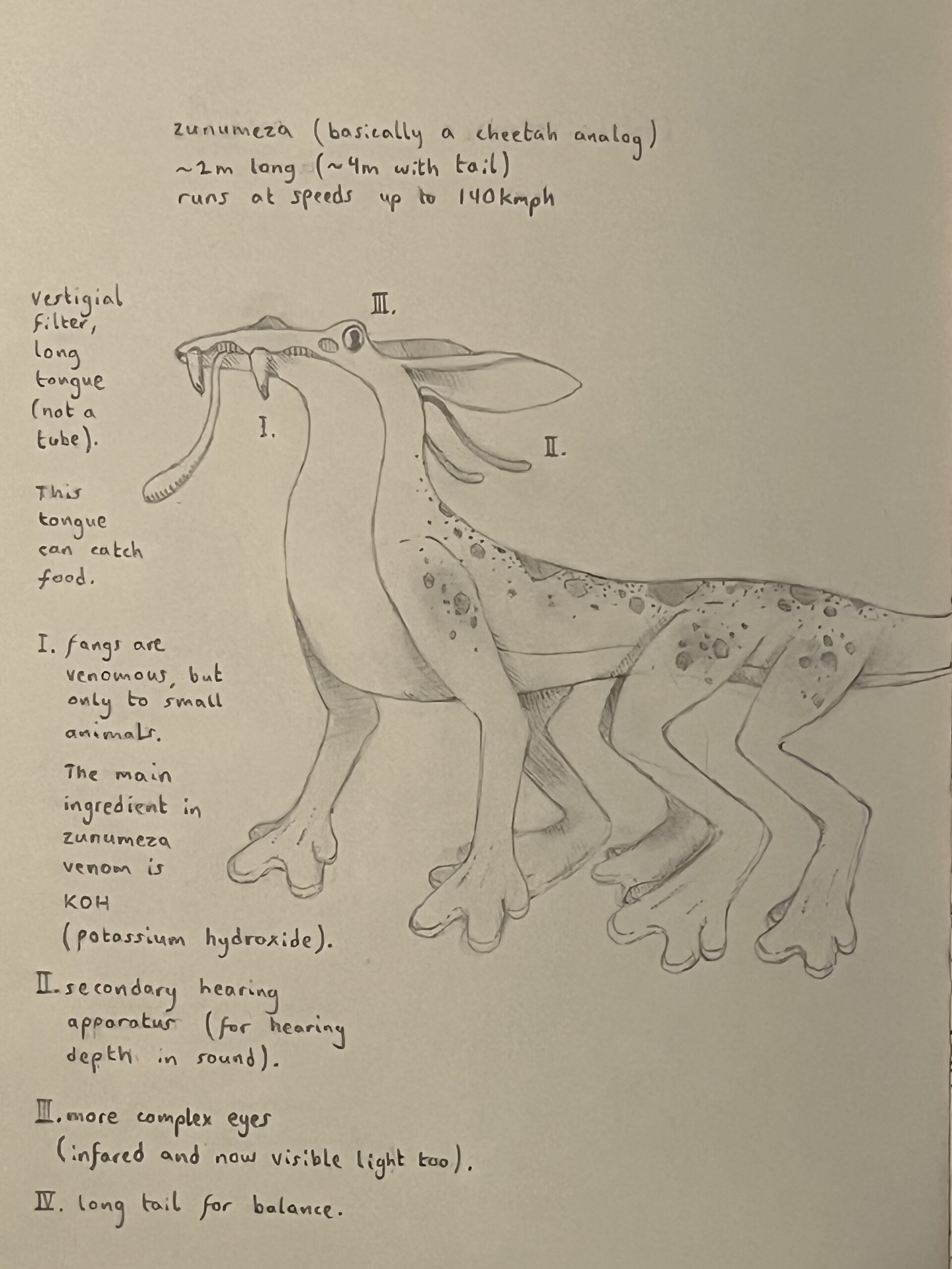 ArtStation - Zunumeza and Land Sponges
