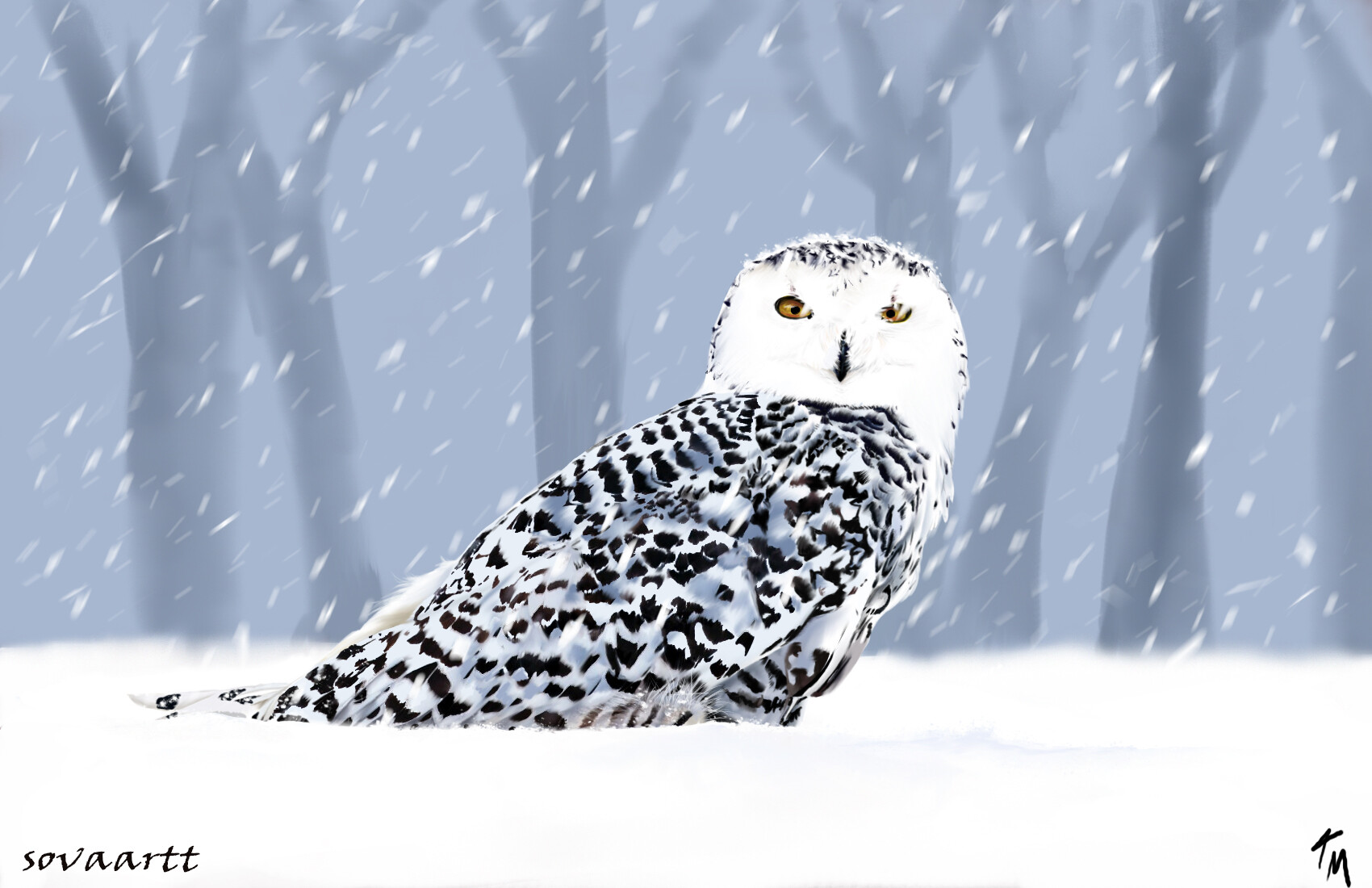 ArtStation - Snowy owl