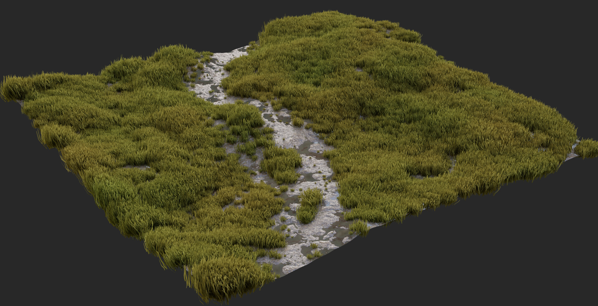 ArtStation - Muddy grass path