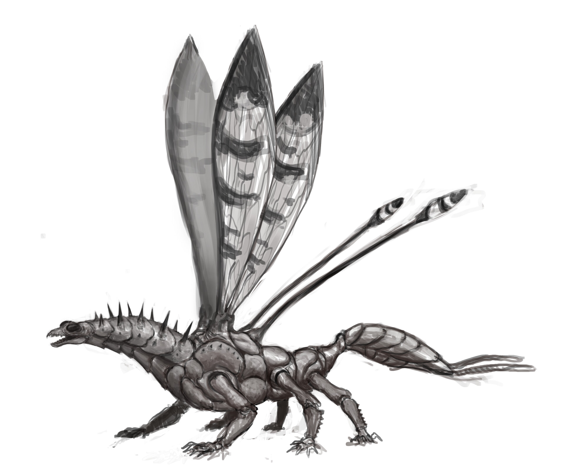 sandro girardi - Smaugust 2022