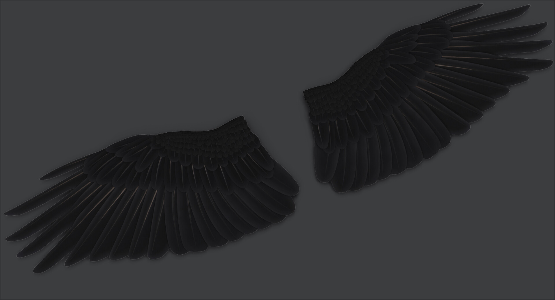 Black Feather Wings