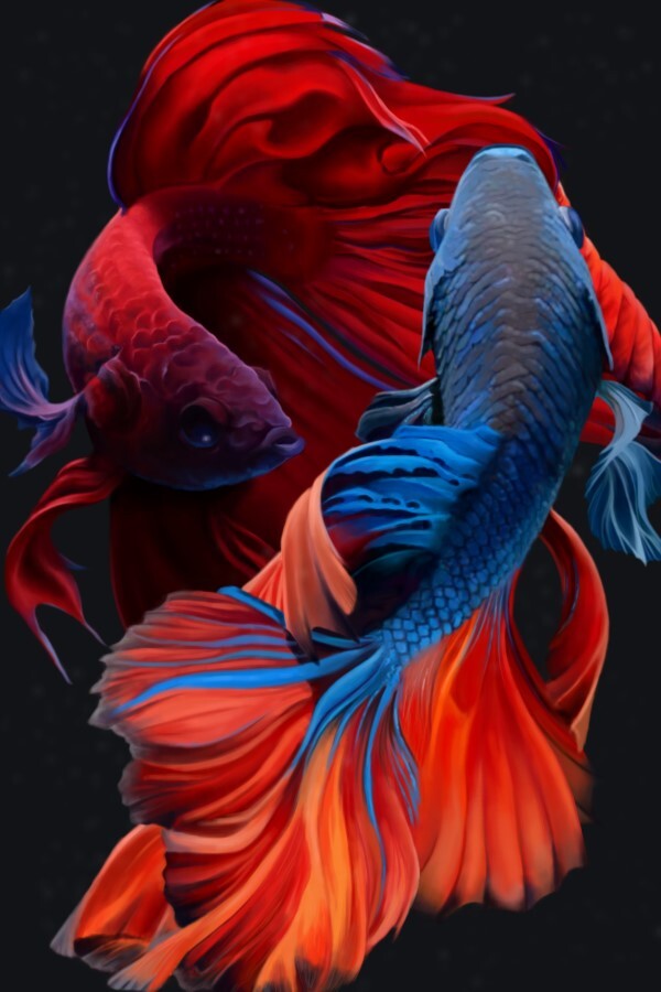 ArtStation - Something Fishy