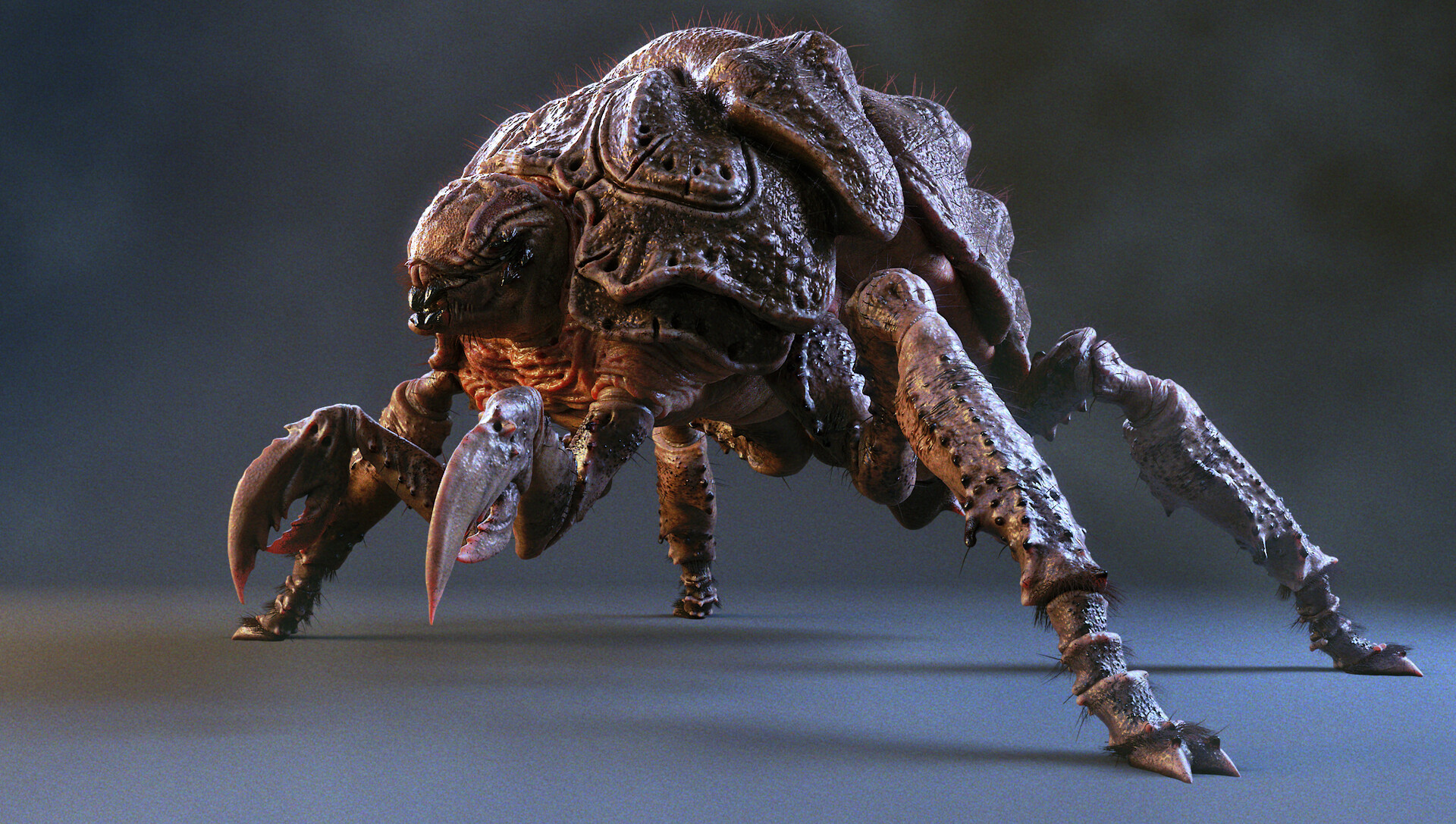 ArtStation - CREATURE design