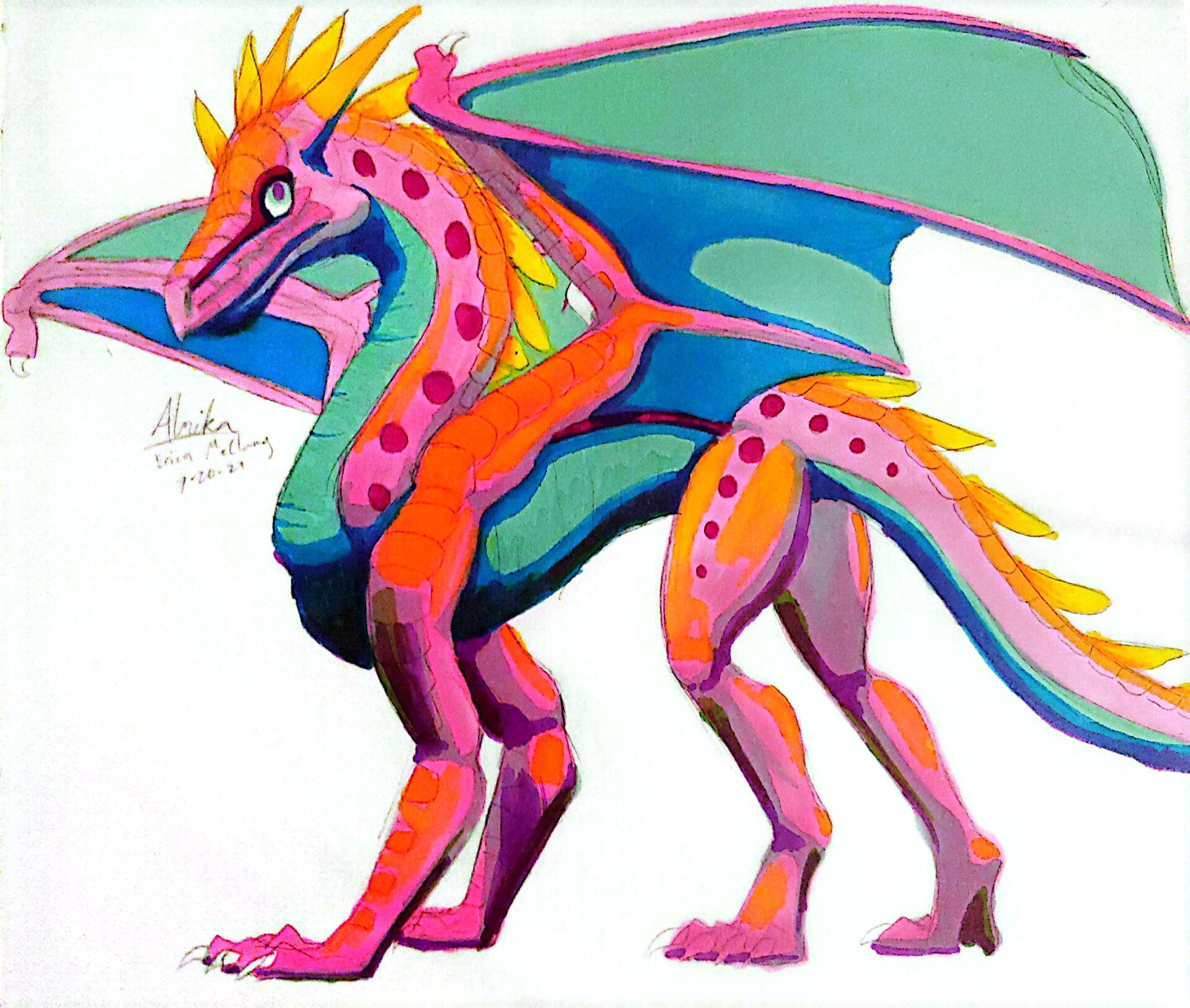 Erica - Dragon Drawing Examples
