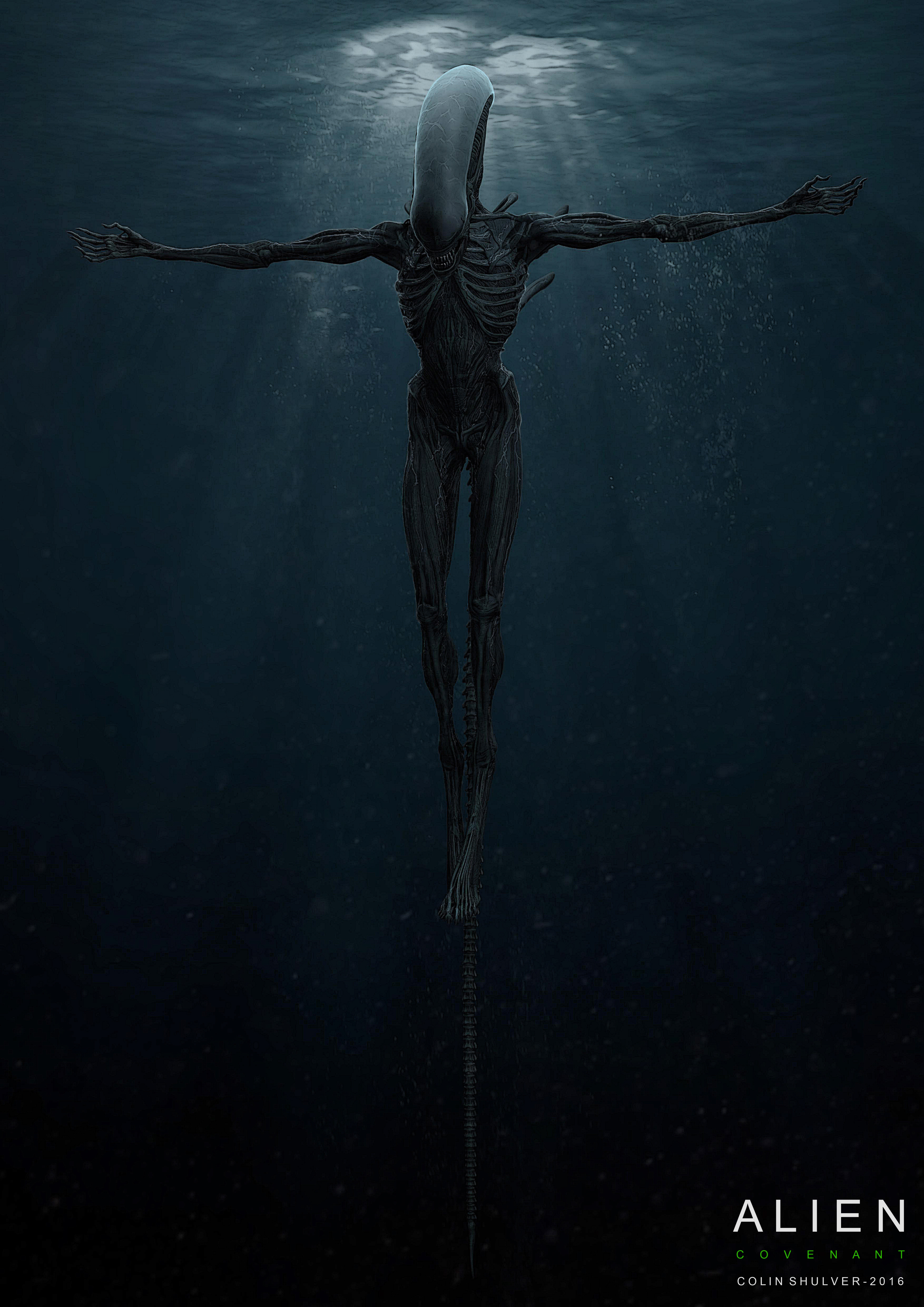 COLIN SHULVER - Alien Covenant